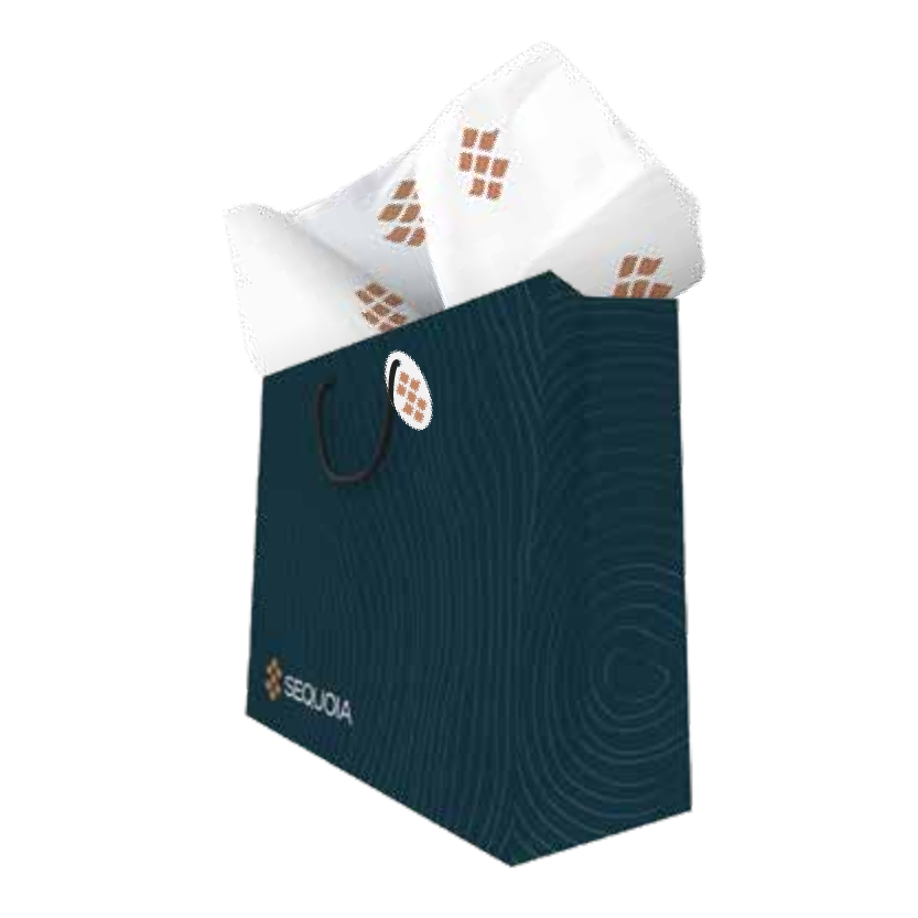 Sequoia Financial Group